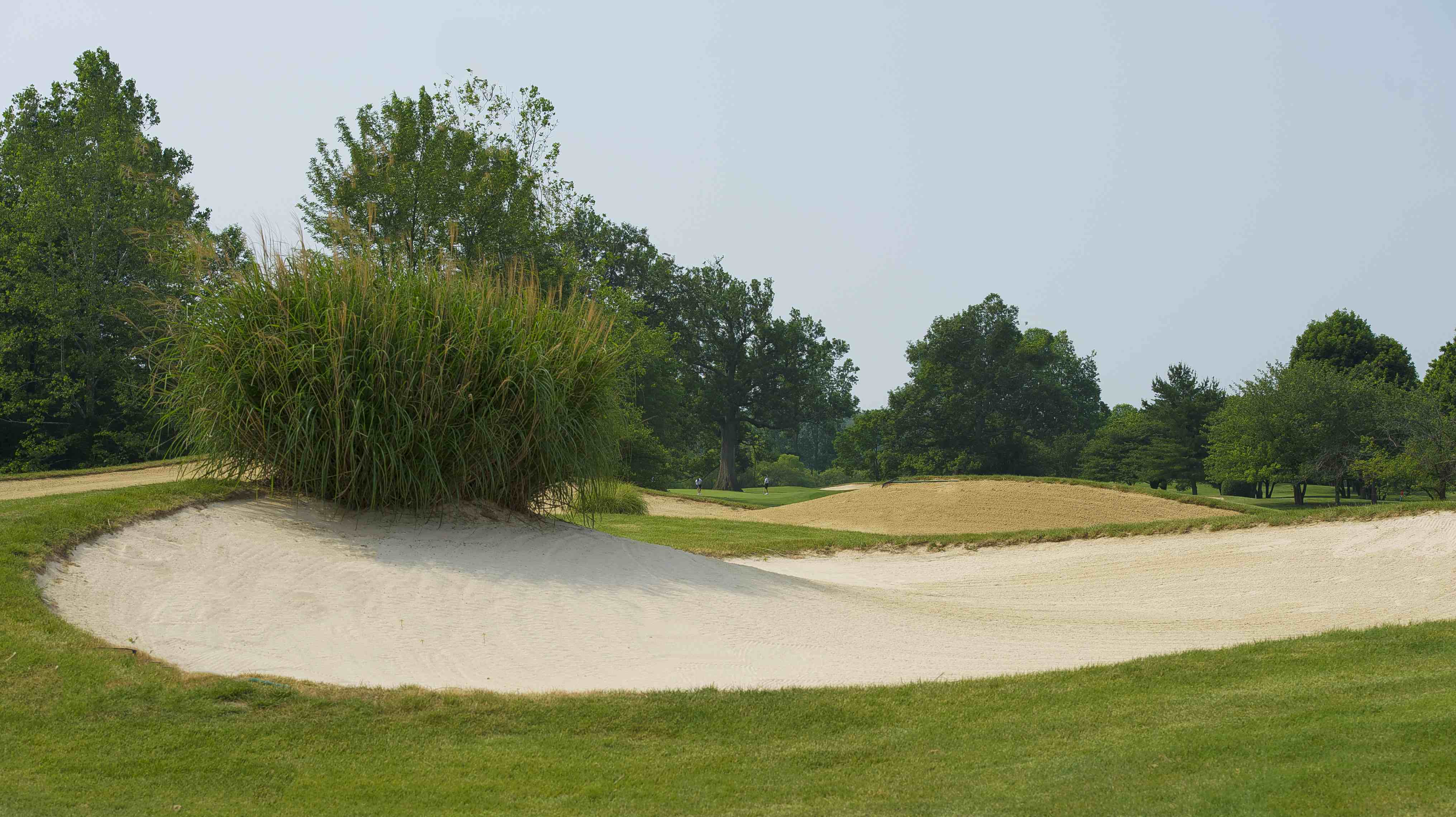 Home - Golf Club of Indiana